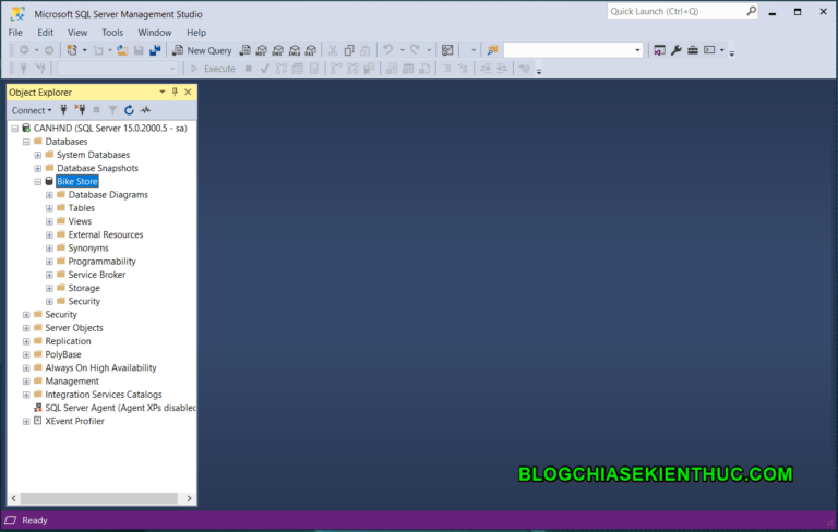 Cách Import Dữ Liệu Từ File Script Vào Trong Sql Server Topdev