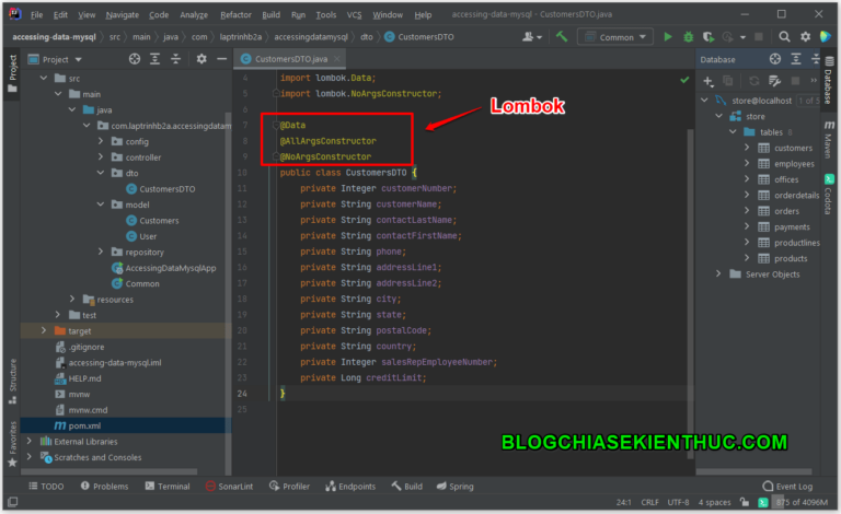 POJO Generator: Hỗ trợ tạo các Pojo tự động trong Intellij Idea