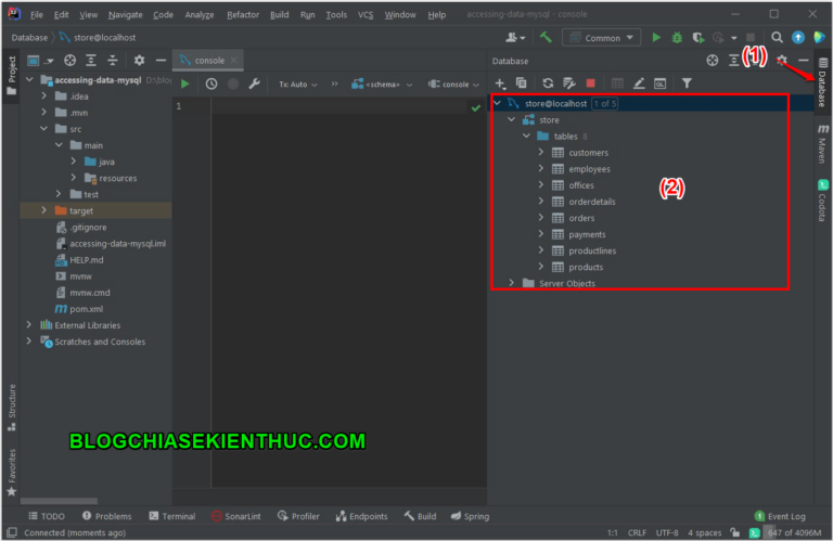 POJO Generator: Hỗ trợ tạo các Pojo tự động trong Intellij Idea
